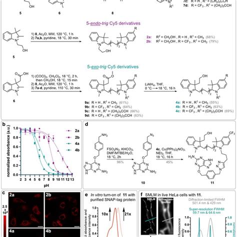 Pdf A General Strategy To Develop Fluorogenic Polymethine Dyes For