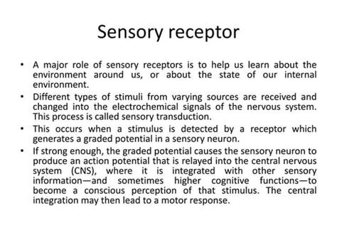Sensory Processing Information Lecture Pdf