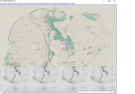 Dealing With Bigtiff Files Open Edit Save Etc Image Analysis Imagesc Forum