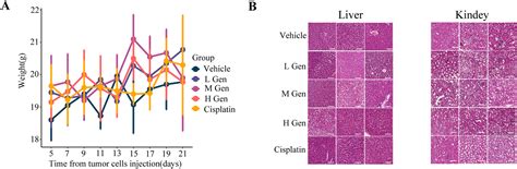 Exploring The Mechanism Of Genistein In Treating Hepatocellular