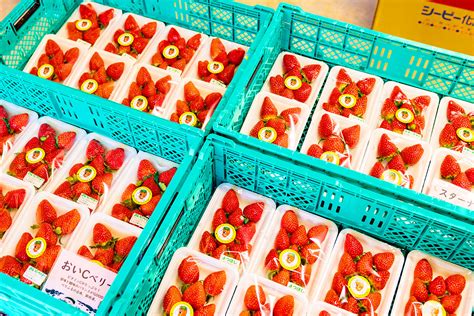 苺の直売 苺ファームべりふる