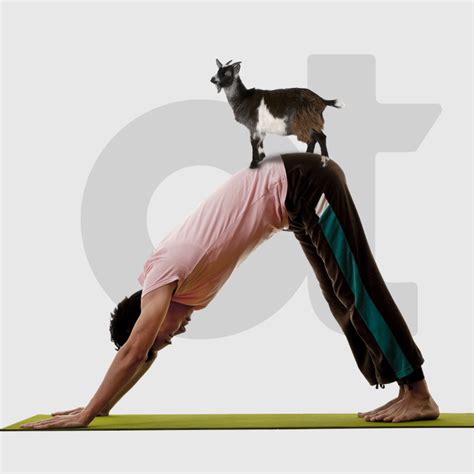 Reimagine The Future Of Work With Ai Productivity Opentext