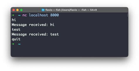How To Use Netcat