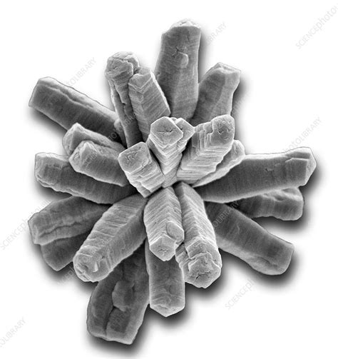 Calcium Phosphate Crystal Sem Stock Image C0372460 Science