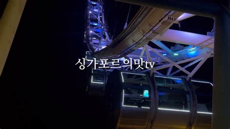 거친싱가포르에뛰어든건나니까암오케 싱가포르 여행 Vlog 인도어스타디움 송파바쿠테 타이거맥주공장 안다즈호텔 클라우드포레스트 싱가폴 브이로그 Youtube