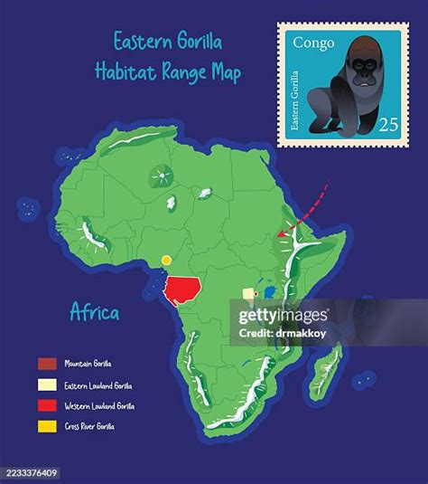 Eastern Gorilla Habitat Range Map High Res Vector Graphic Getty Images