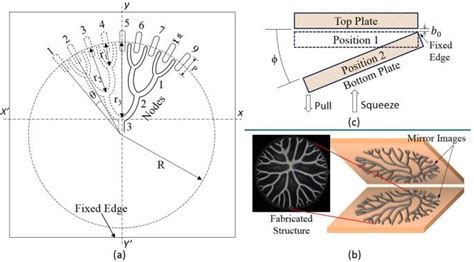 Prasanna Gandhi On Linkedin Fabrication Of Multscale Fractal Like Structures By Controlling