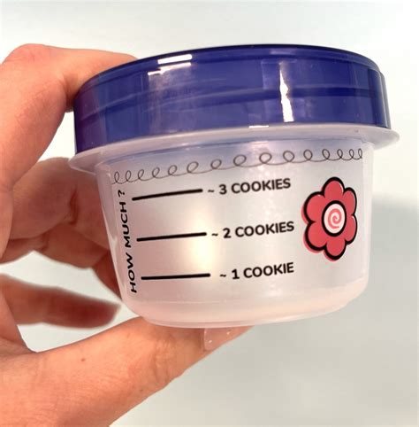 Flour Box Small Icing Storage Container Set Of 6 The Flour Box