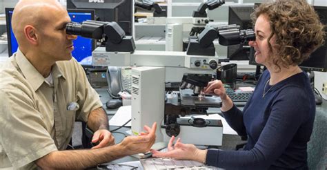 The Pathologists Role Breast Pathology Johns Hopkins Pathology
