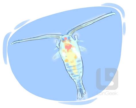 Definition And Meaning Of Plankton Langeek