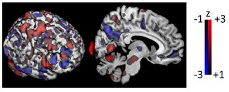 visualization of the decision boundary for sequential minimal svm on download scientific