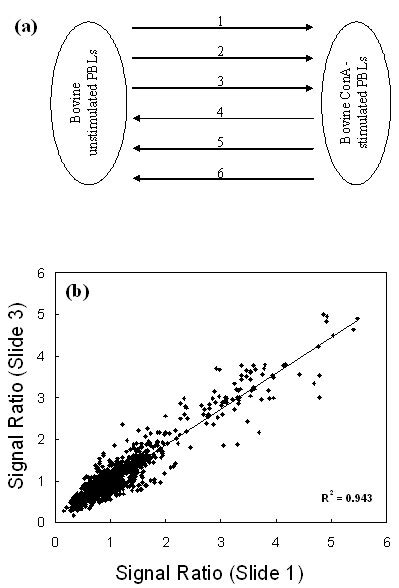 Slide To Slide Reproducibility Of The Bovine Innate Immune Microarray