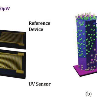 Schematic Representation Of The UV Sensor S A Overall Configuration Download Scientific