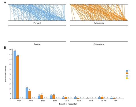 Statistical Graphs Of The Distribution And Length Of Interspersed Download Scientific Diagram