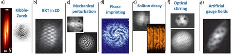 Figure 1 From Vortices In Dipolar Boseeinstein Condensates Semantic