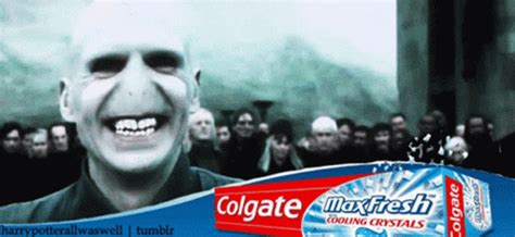Funny Harry Potter S