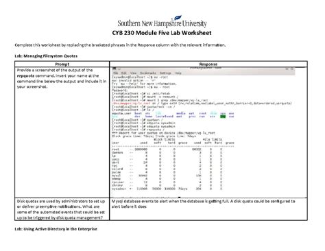 CYB 230 Module Five Lab Worksheet CYB 230 Module Five Lab Worksheet Complete This Worksheet By