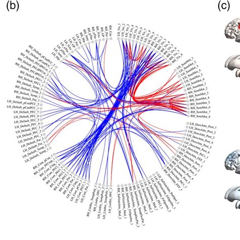 Schematic Illustration Of The Analysis Pipeline Diffusion And Download Scientific Diagram