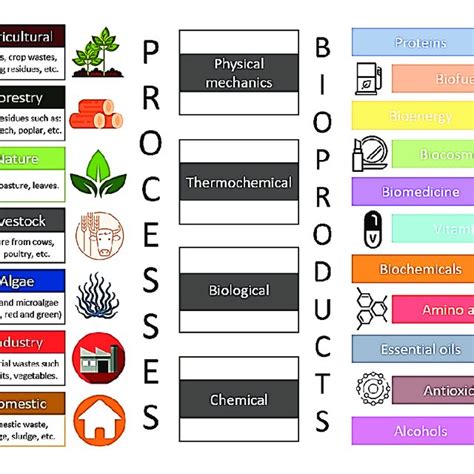 general concept of biorefineries raw materials processes and final