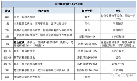 黄瑛 的想法 打工人结节三件套の甲状腺结节 什么是甲 知乎
