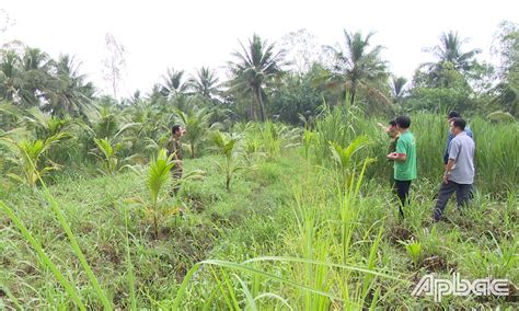 Nh Ng Ng I D N D Ng C M Truy B T T I Ph M B O P B C I N T