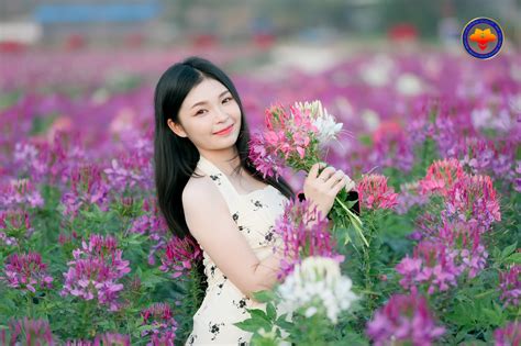 ເຂດເສດຖະກິດພິເສດ ສາມຫຼ່ຽມຄຳ ເຂດເສດຖະກິດພິເສດ ສາມຫຼ່ຽມຄຳ