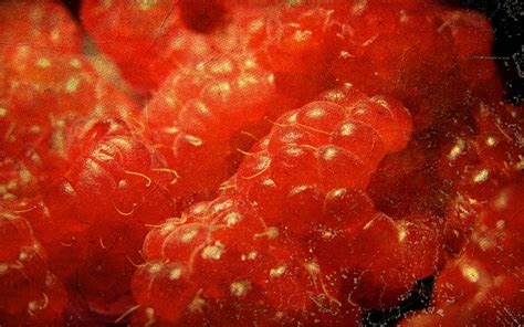 Clone Raspberry Pi SD To Larger Card