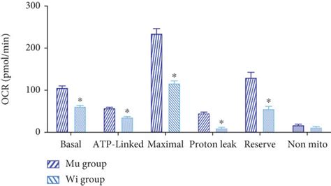 Detection Of Mitochondrial Ocr In Mutant And Control Cell Lines A Download Scientific