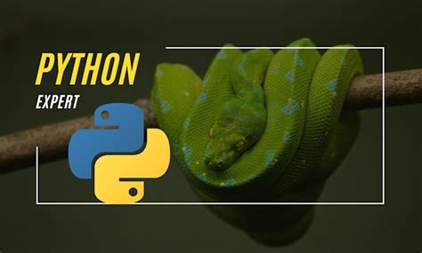 Do Python Scriptsprojects And Tasks By Smith2541 Fiverr