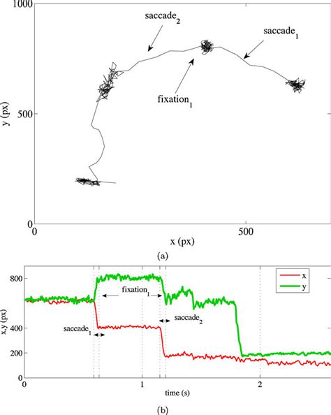 Eye Fixations Are Intercalated By Rapid Eye Jumps Called Saccades