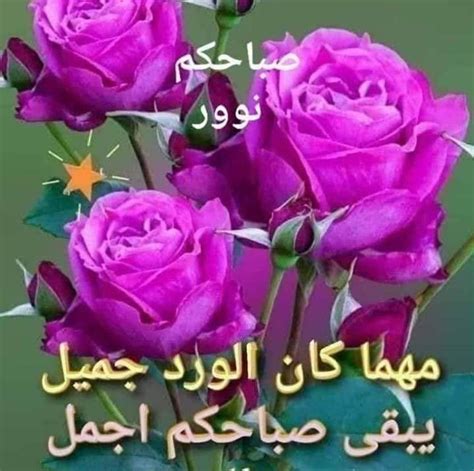 عفش مستعمل بنها Benha