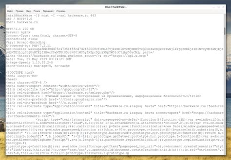 Kali Linux Tools Ncat Netcat Nc Hackyourmom