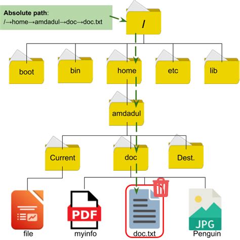 An Overview Of Absolute Path In Linux The Complete Guide