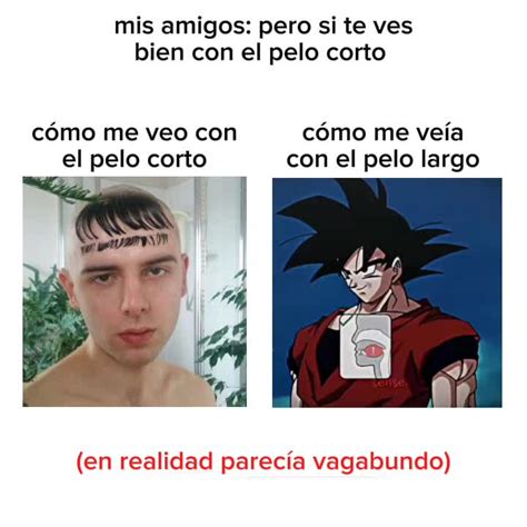 Goku Ssj3 Memes Vegeta Imgonna Tell Ok Super Saiyan 3 I Dont Get It Ok