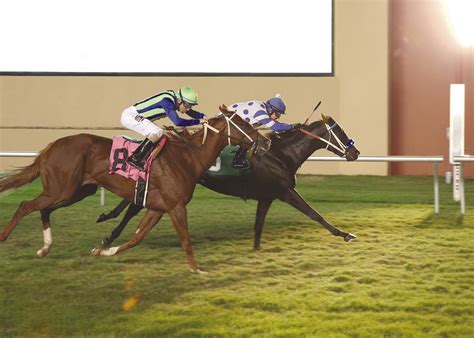 Jockey Sofia Barandela Wins Another Turf Race On Lead Couldnt Be Caught Aboard Our Pastor