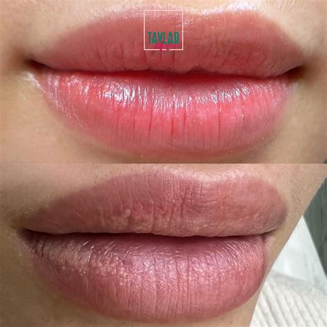 Phun M I Candy Lips C Ng Ngh Ch U U Taylar Nguyen