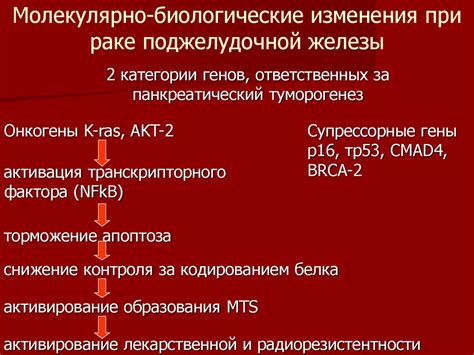 Рак поджелудочной железы презентация онлайн
