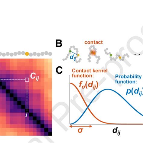 Modeling The Contacts In Hi C Experiments A Hi C Data Are Expressed Download Scientific