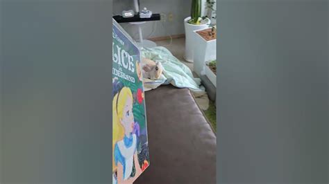 이상한 나라의 엘리스 그림 보고 반응 보이는 귀염둥이들♡ Youtube