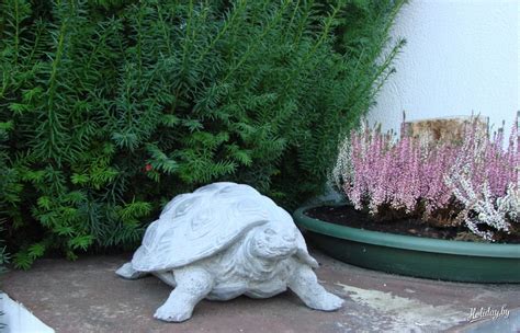 Мангейм – маленькая частичка современной Германии - туристический блог ...