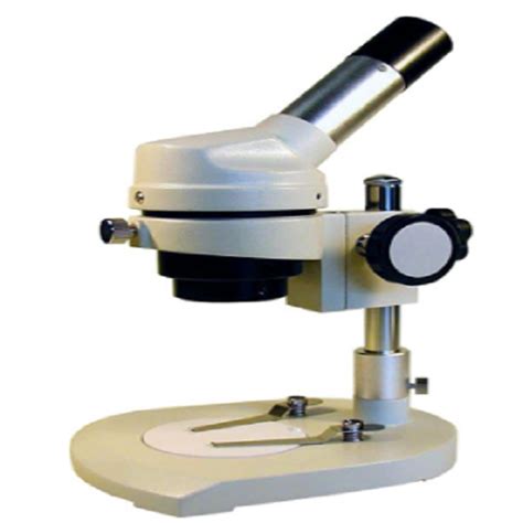 Dissecting Microscope Elmo India