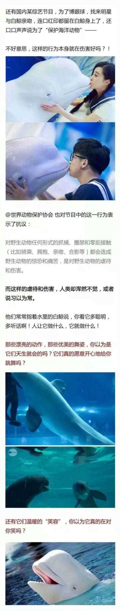 你真的認為它們通人性嗎？ 每日頭條