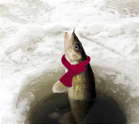 Exploring Data The Sweet Way A Dive Into Pythons Sweetviz For Eda