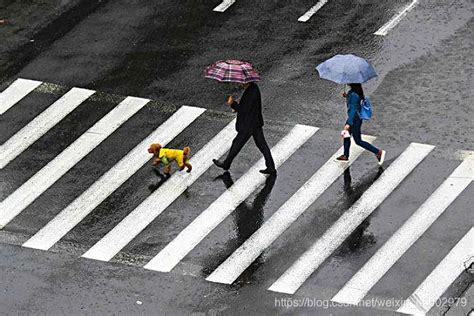 Opencv——霍夫直线检测python Opencv找直线并去重 Csdn博客 Opencv——霍夫直线检测python Opencv找直线并去重 Csdn博客