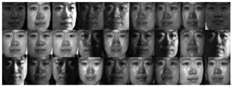 Samples Of The Cmu Pie Database Download Scientific Diagram