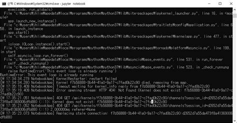 Jupyter Notebook 동작 안함 Kernelrestarter Restart Failed