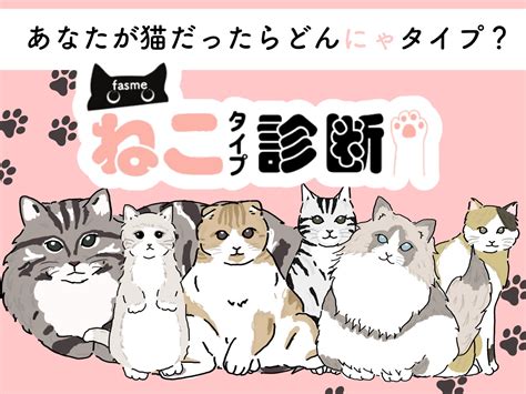 あなたが猫なら、どんにゃタイプ？ 女性向けメディア「fasme」、猫の日にちなんだ「ねこタイプ診断」を公開 エンタメラッシュ
