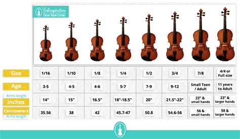 Violin Strings Artofit