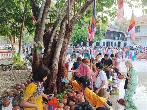 ငပလီ မြို့၊ လင်းသာရပ်ကွက်၊ မင်္ဂလသုခ ကျောင်းဝန်း၌ ဗောဓိညောင်ပင်တွင