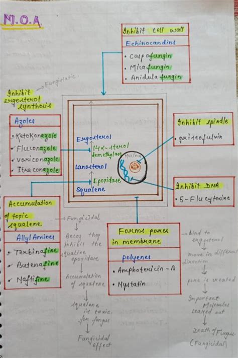 Apoptosis Pathology Notes PDF MBBS Handwritten Notes